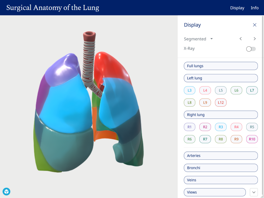 Emory University 3D Anatomy - Klaas Nienhuis Studio